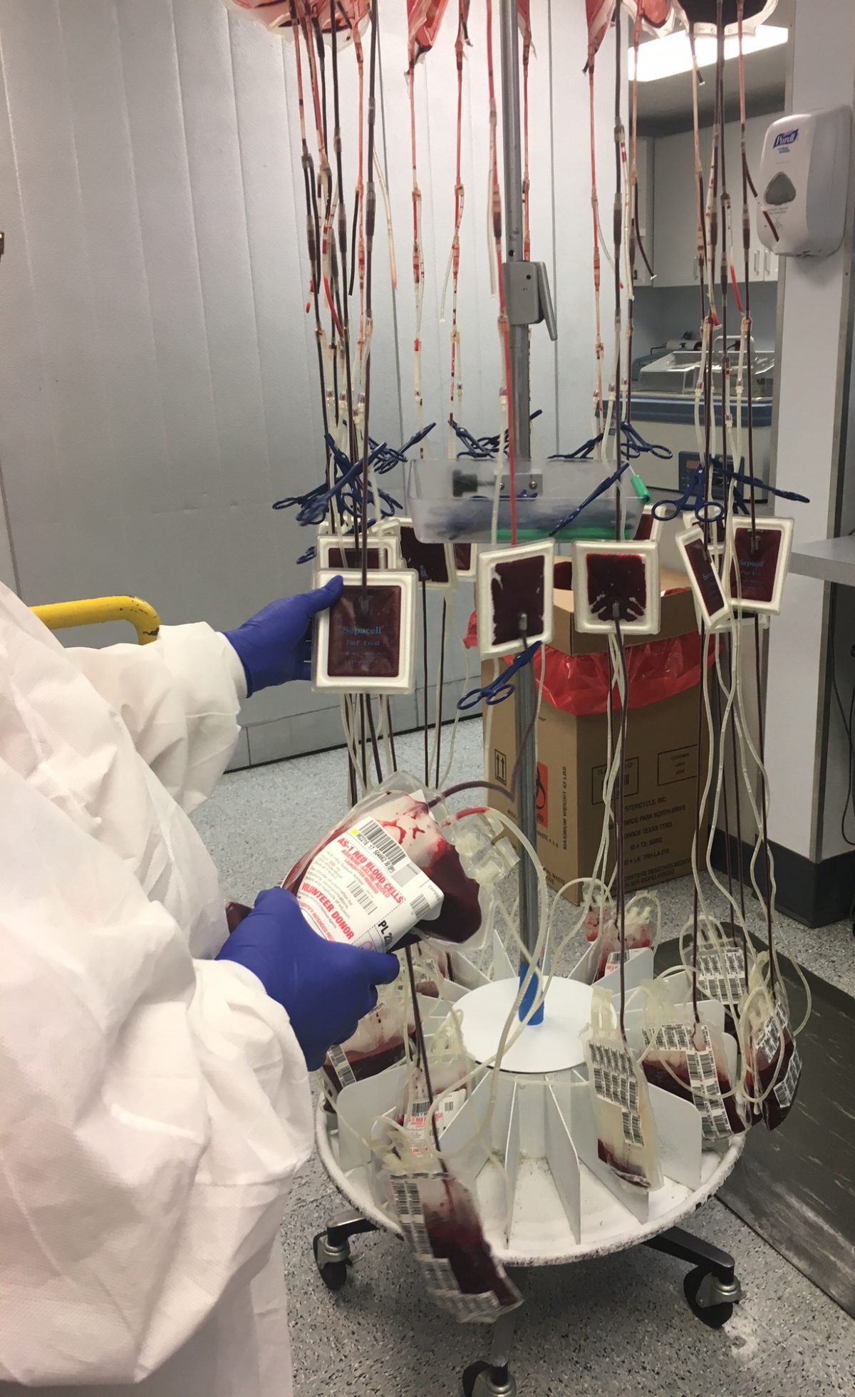 Where does your blood go after you donate? - We Are Blood