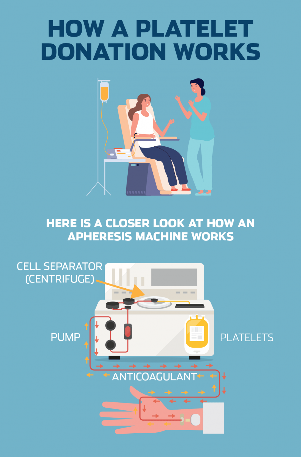 Platelet-Donation-Infographic - We Are Blood
