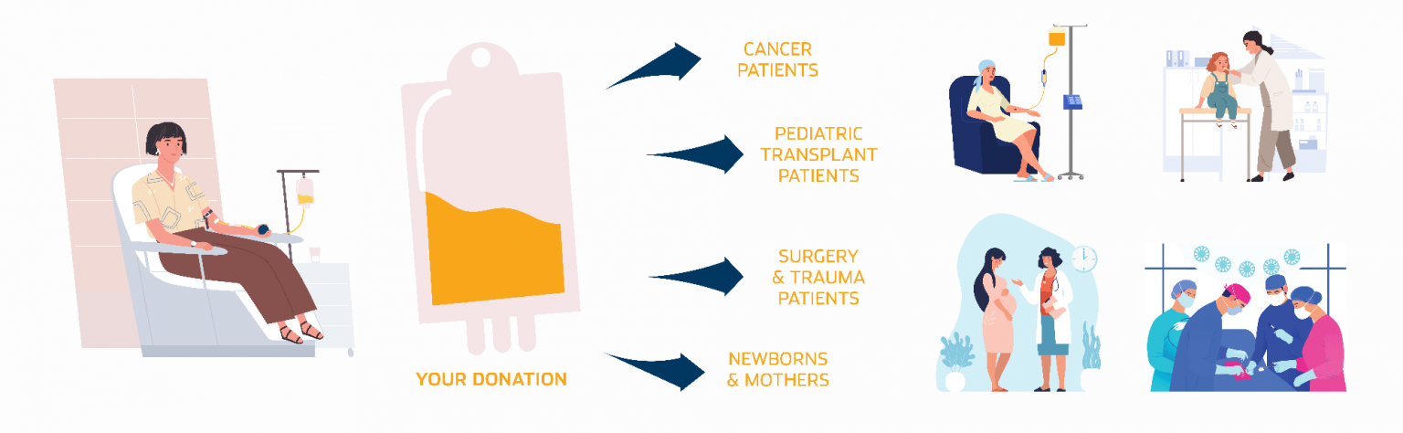 platelet-donor-infographic-horizontal-2000px - We Are Blood