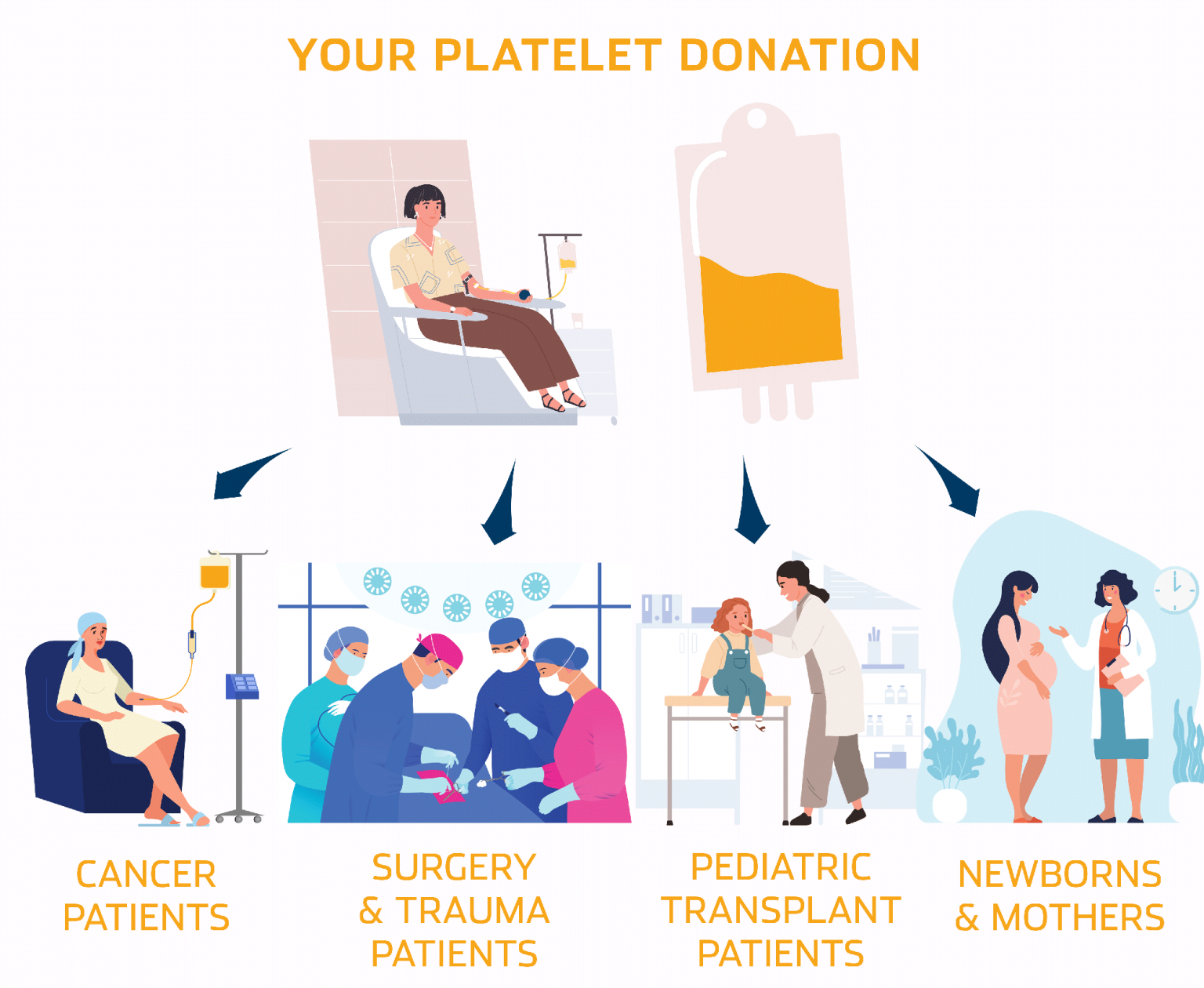 What is a Platelet Donation? - We Are Blood