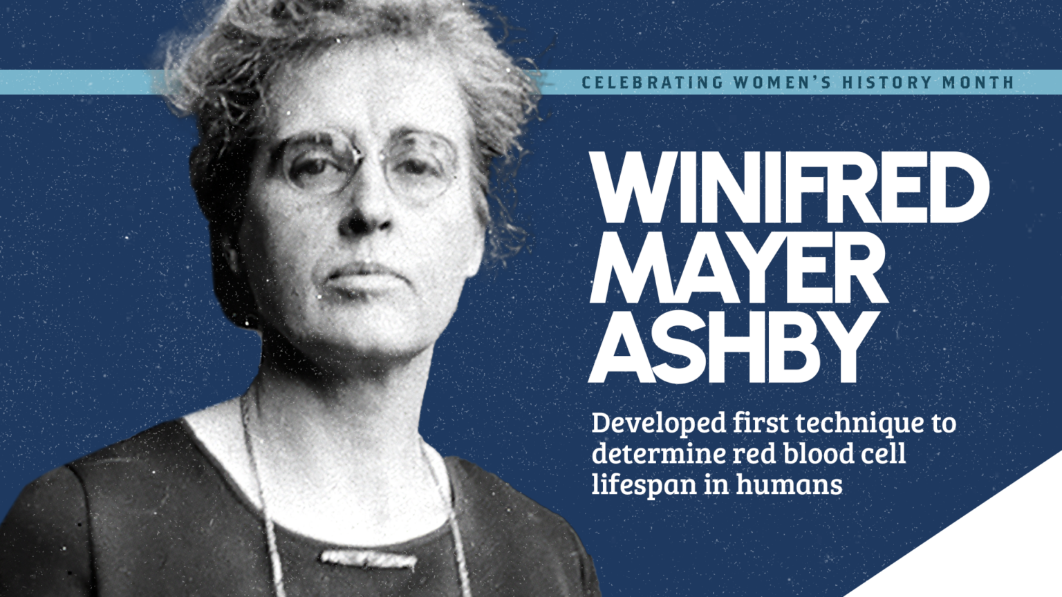 Let’s Move Forward Together This Women’s History Month - We Are Blood